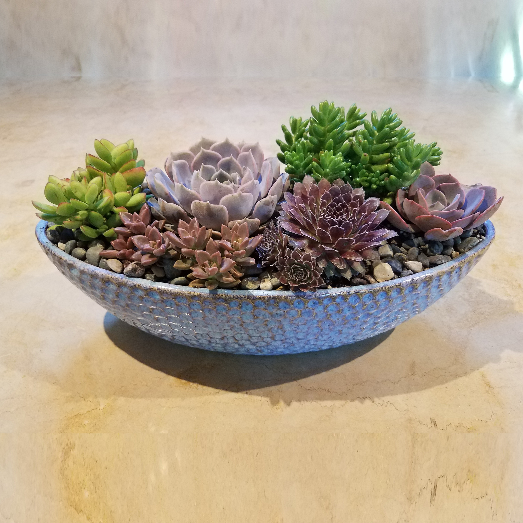 Ceramic Succulent Boat – Open Air Flowers